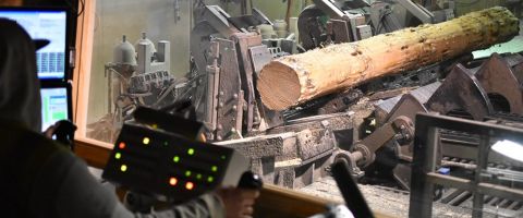 Red Stag Timber :: About Us