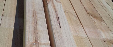 Red Stag Timber :: Pith Tells Timber's Secrets