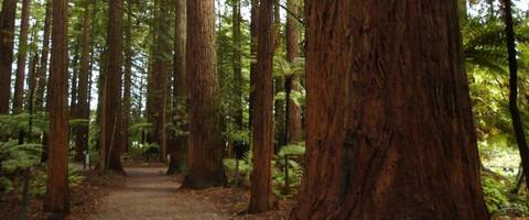 Red Stag Timber :: Technical Information