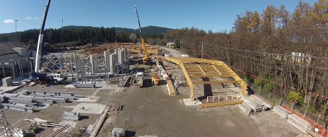 Red Stag Timber :: About Us